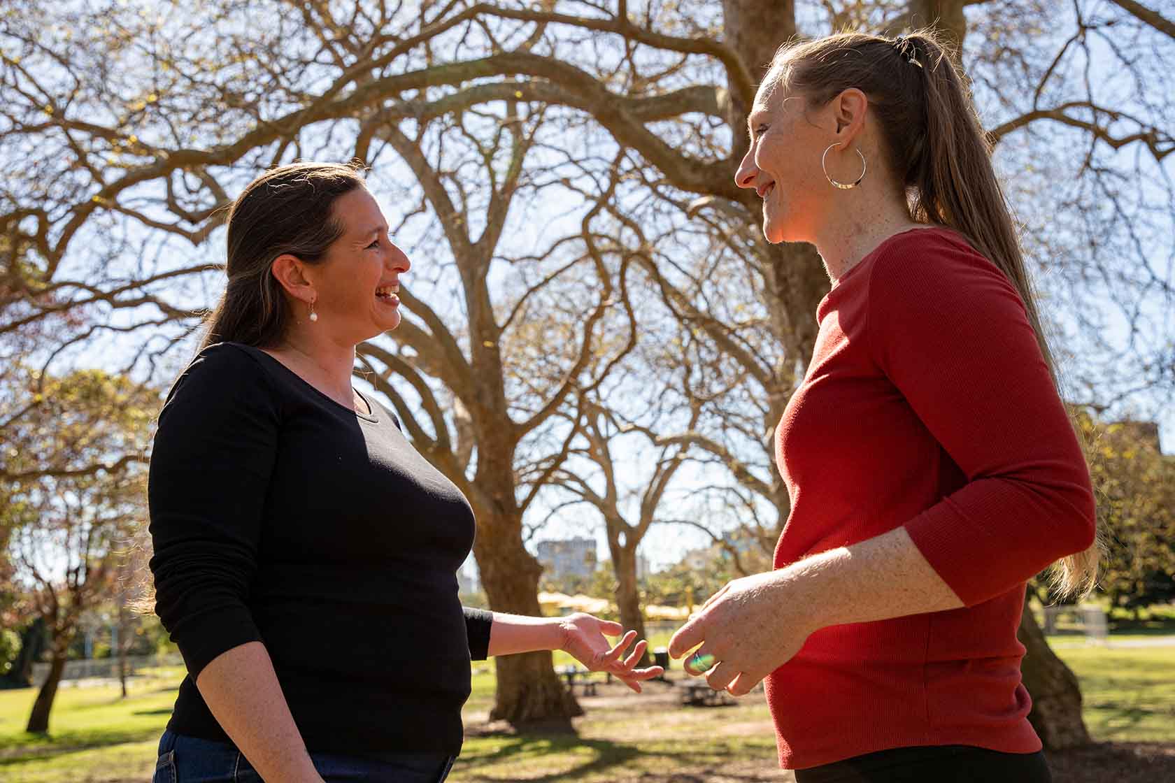 Hepatitis C Transmission, Contraction & Prevention | Hepatitis NSW