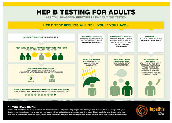 Information About Hep B Blood Tests | Hepatitis NSW